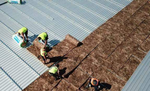 Metal Roofing